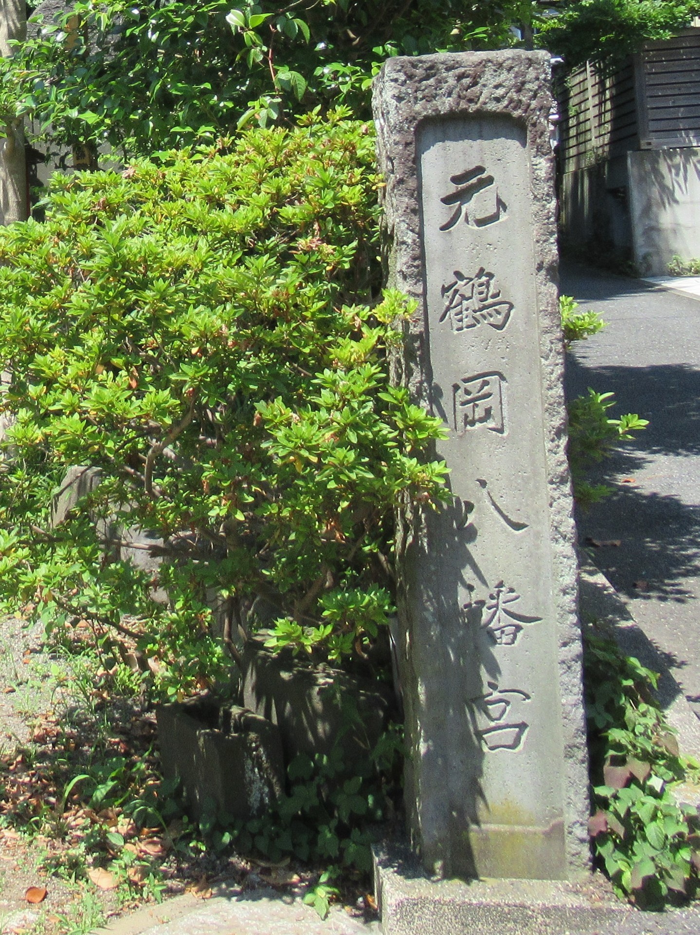 半夏生: AFTER還暦を楽しもう！